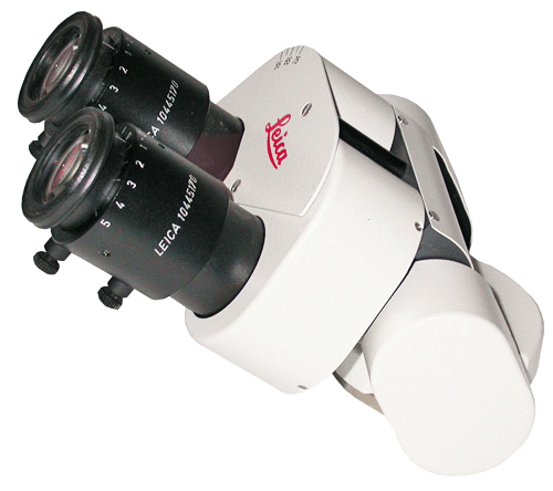 Leica 180° Ergo Tilt Head with 10X Eyepieces | 10445595 | Spach Optics ...