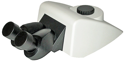 Leica Trinocular Ergo Tube 100% M-Series 10450043 – Spach Optics, Inc.