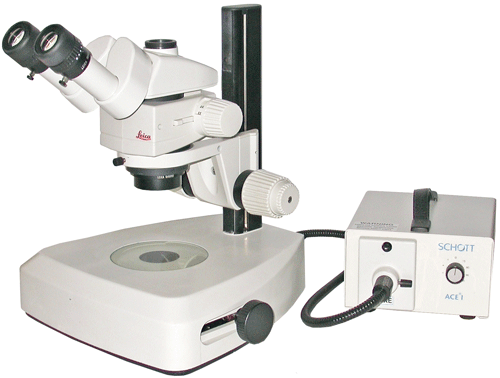 Leica M60 Stereo Microscope on Fiber Optic Tilting Mirror Base – Spach ...
