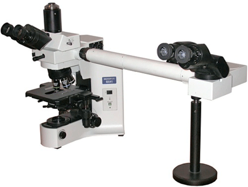 Olympus BX41 Dual Viewing Side-By-Side Microscope – Spach Optics, Inc.