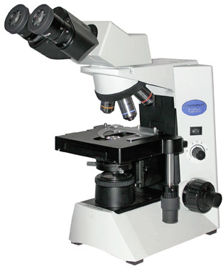 Olympus CX31 Binocular Biological Microscope – Spach Optics, Inc.